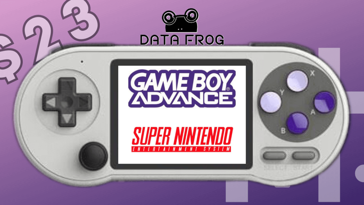 Data Frog SF2000: Leap into a $23 IPS Handheld that Plays SNES and GBA ...
